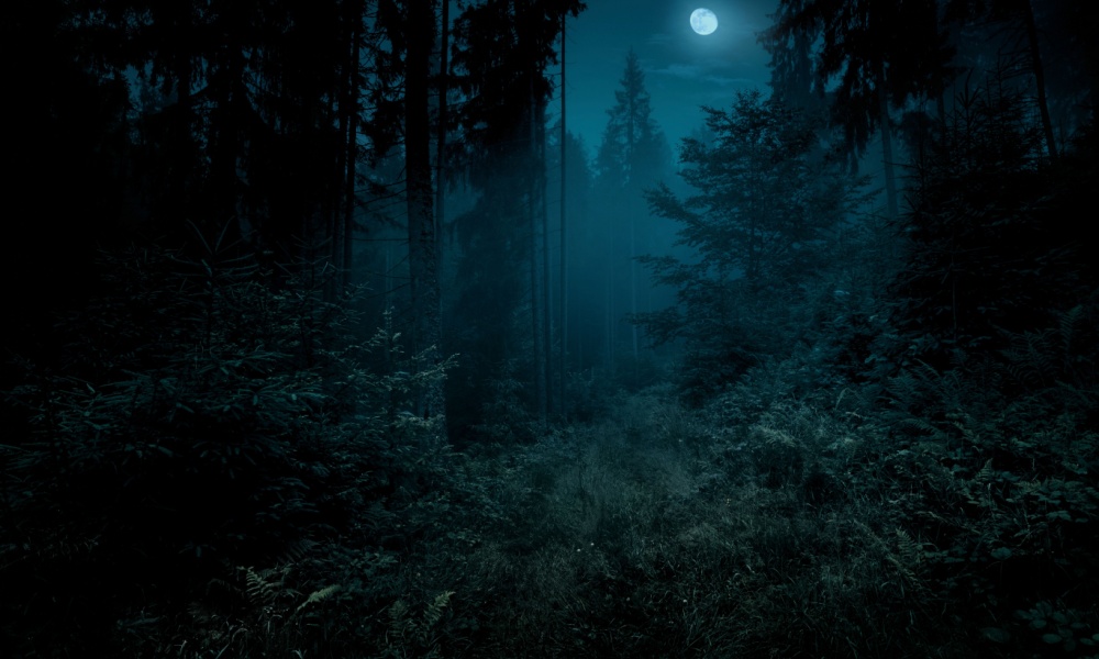 3 Spooky National Forests | Going Places
