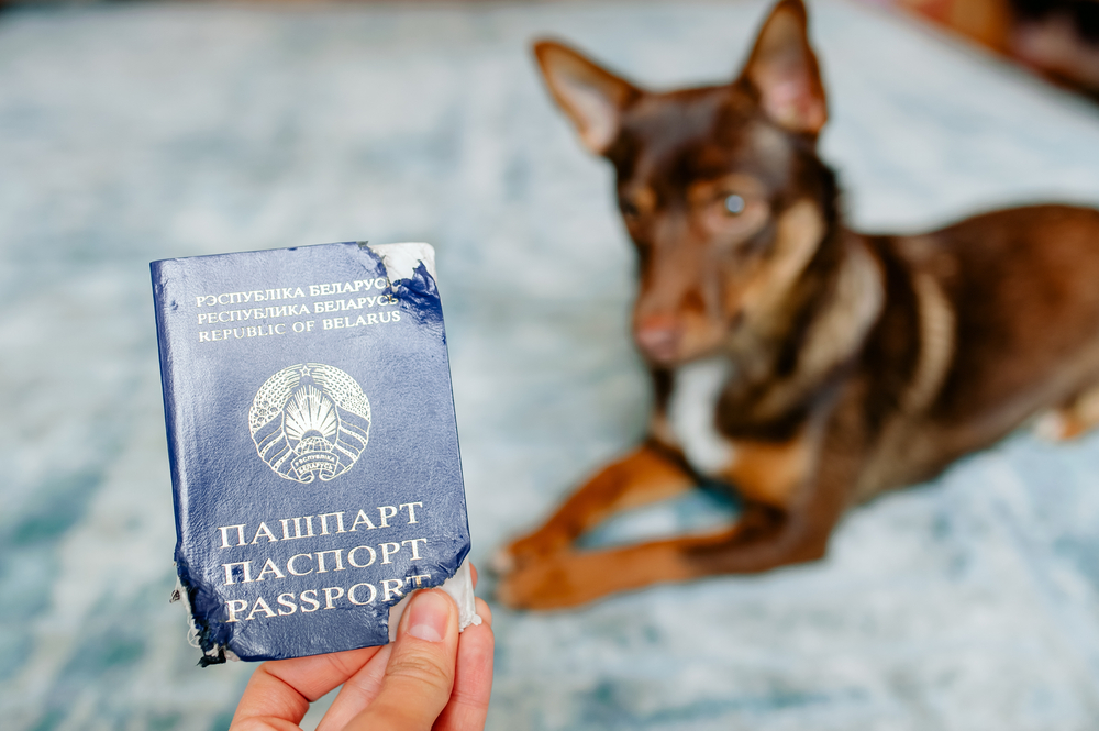 Damaged Passport? Here's What You Need to Do | Going Places