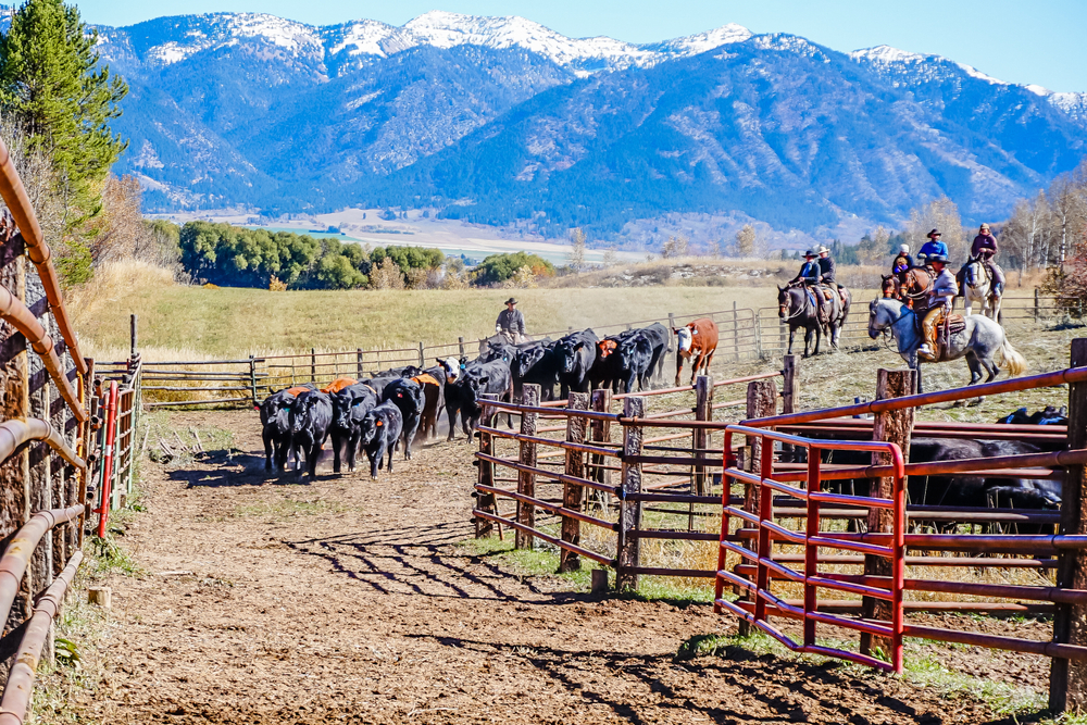 Dude Ranches to Release Your Inner Cowboy | Going Places