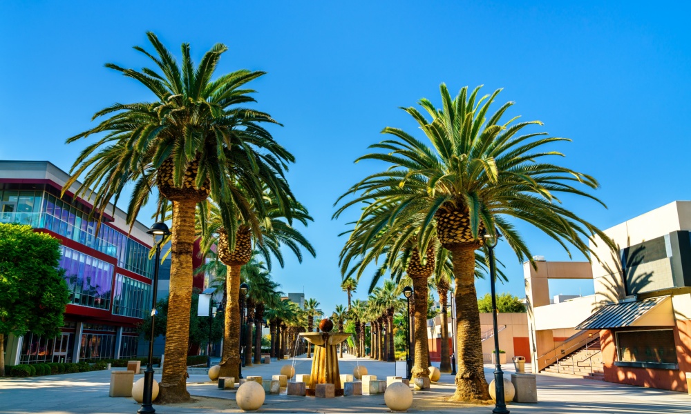 San Jose Travel Brief: What to Know | Going Places