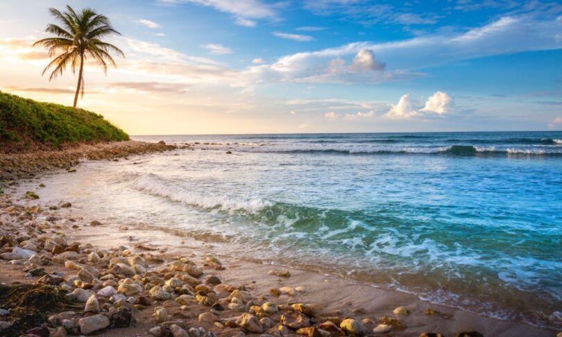 Montego Bay Travel Brief: What to Know | Going Places